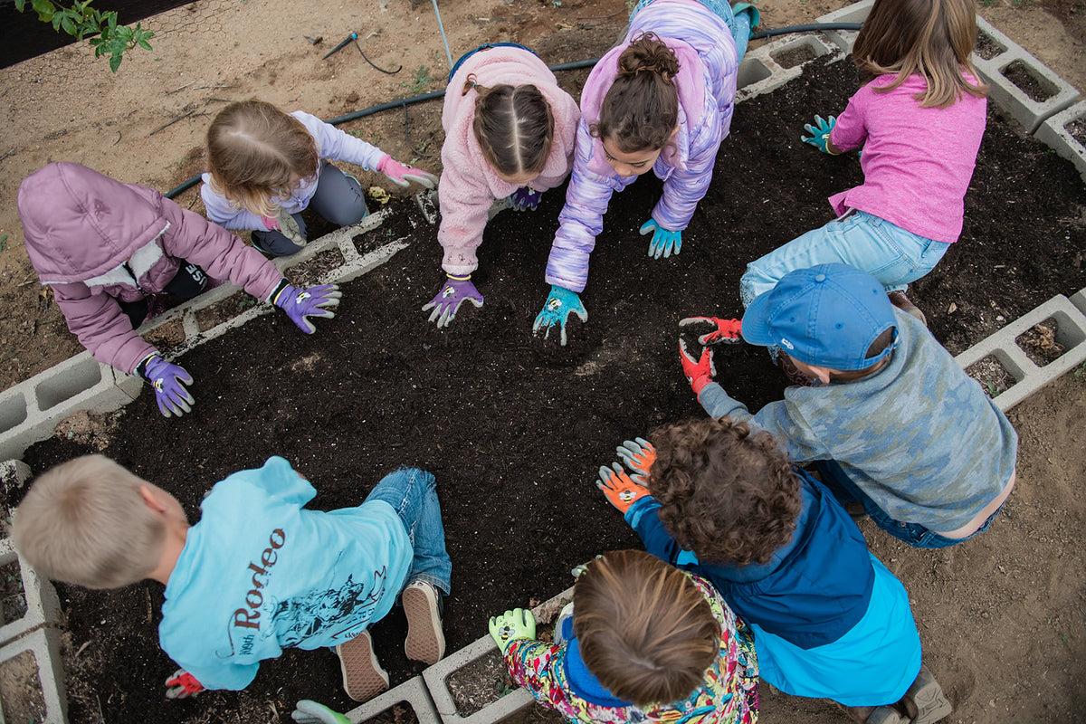 Free Range Farm School